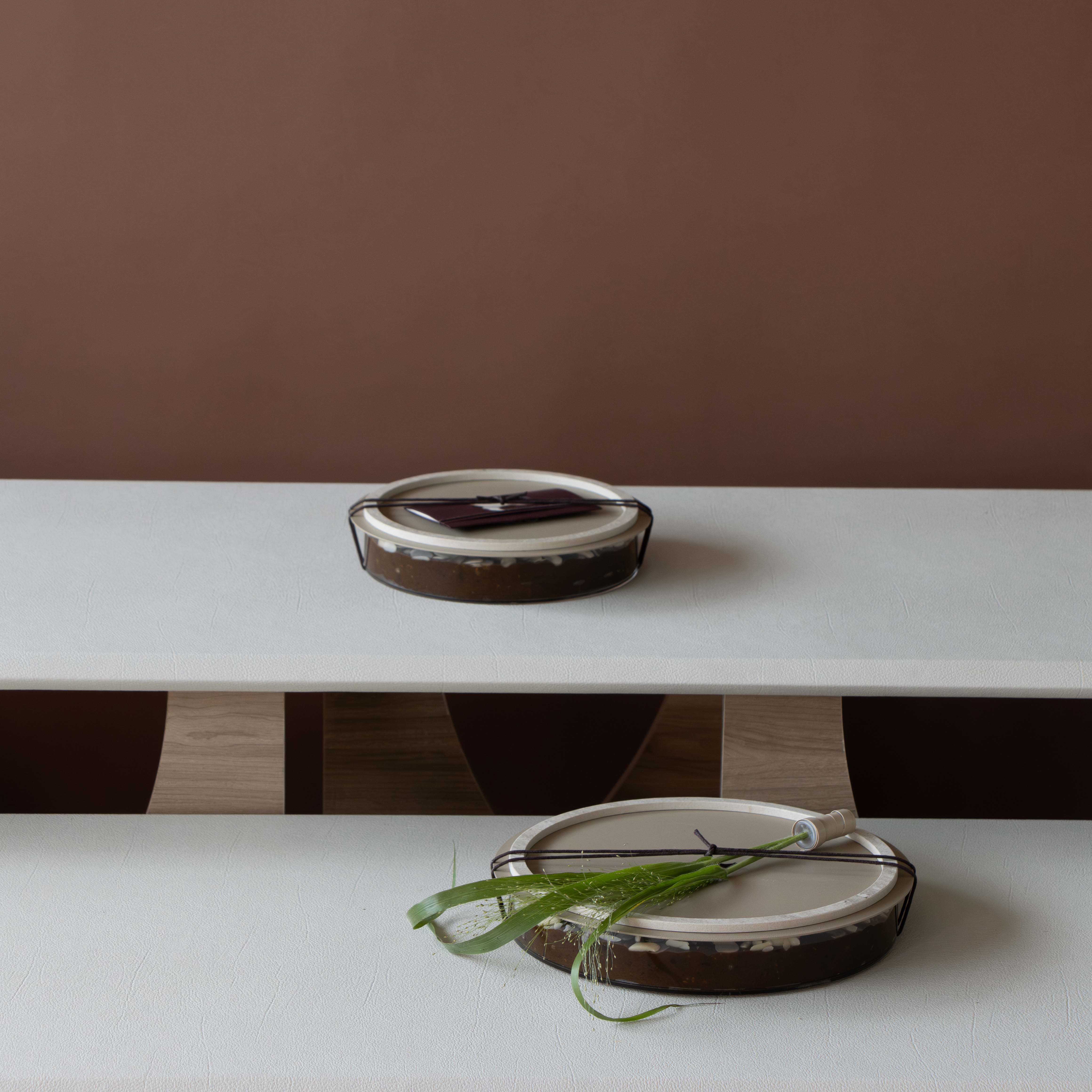 Panicum Double Delight Set – Kadi Boutique